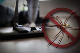 Tworzenie dowiązania symbolicznego w systemie Linux: Jak to działa ...