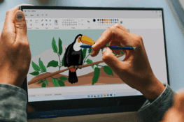 Morphing: What it is and how it works - Practical Tips