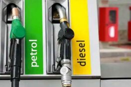 E5とE10の違い：知っておくべきこと - Practical Tips