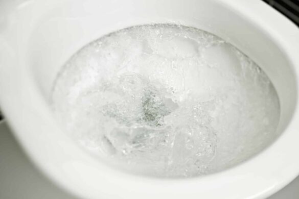 Save water: Here's how to do it in the toilet - Practical Tips