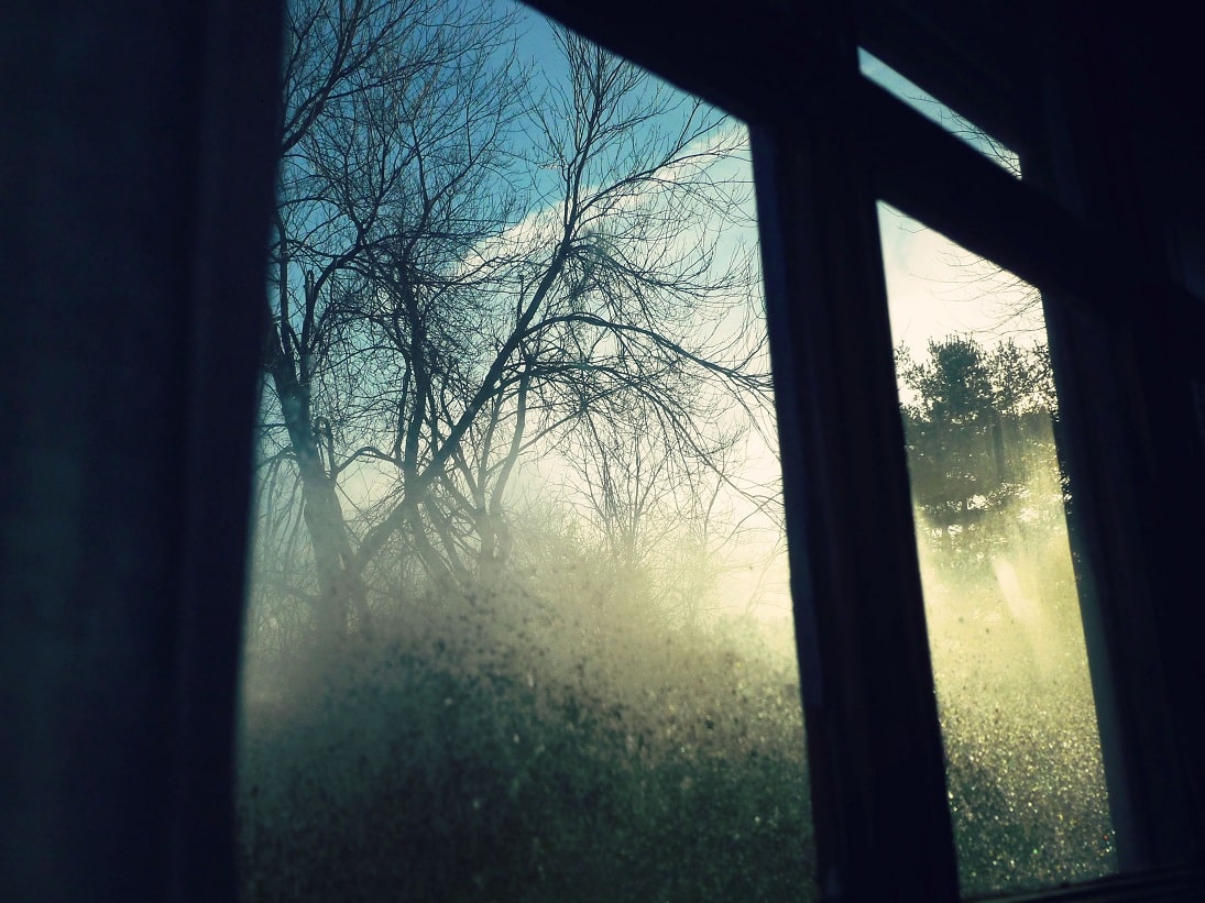 Windows fogging up from the outside: what it means and how to react ...