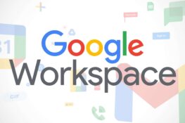 Feed: Definition and meaning explained - Practical Tips