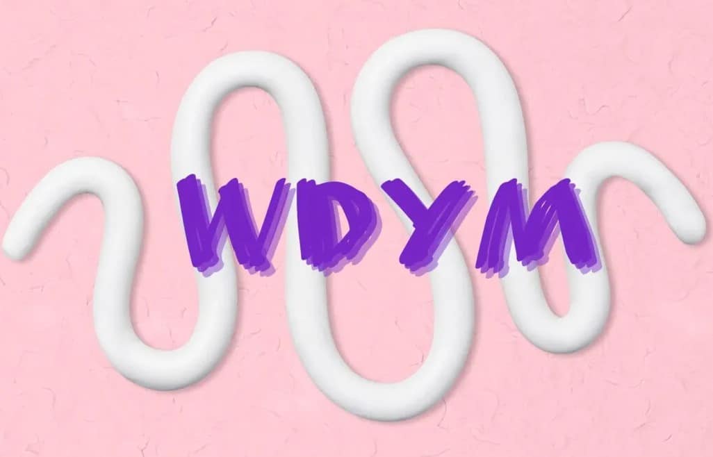 O que é WDYM? Abreviatura simplesmente explicada - Practical Tips