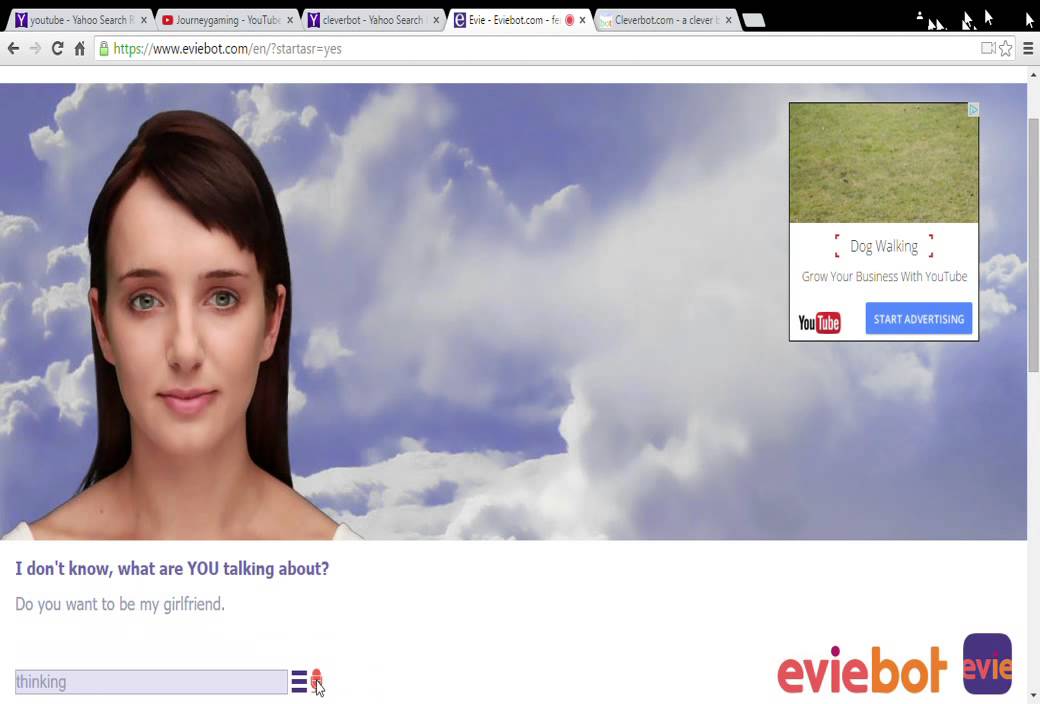 What is Eviebot? Simply explained - Practical Tips