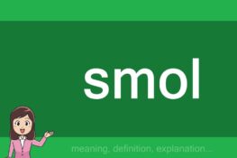What does Ditto actually mean? The abbreviation explained simply ...