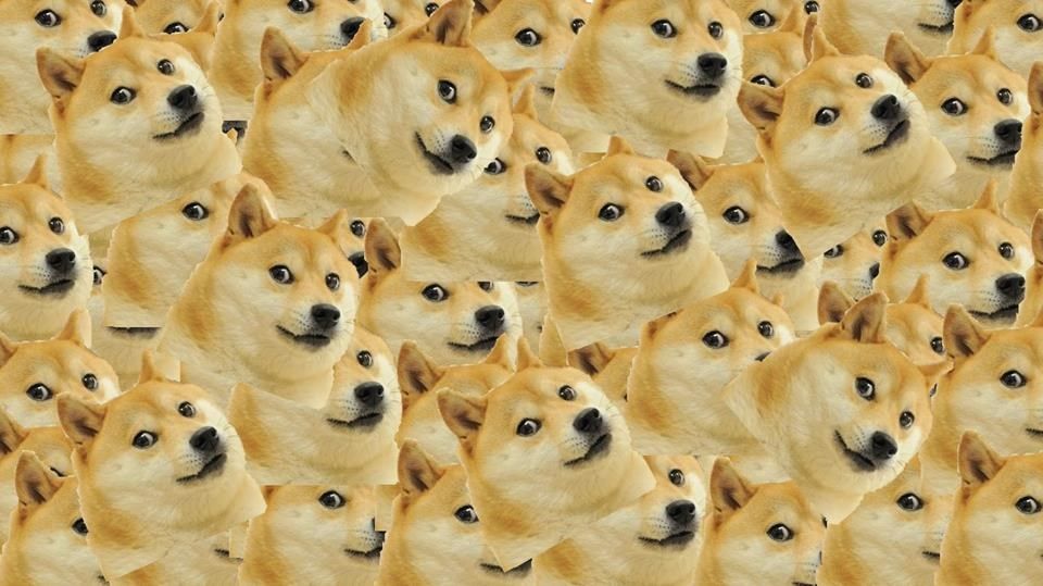 Meme Doge: Esto es lo que hay detrás de la divertida foto de un perro ...