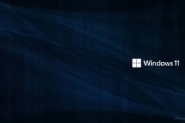 Using Windows App to connect to a remote desktop - Practical Tips