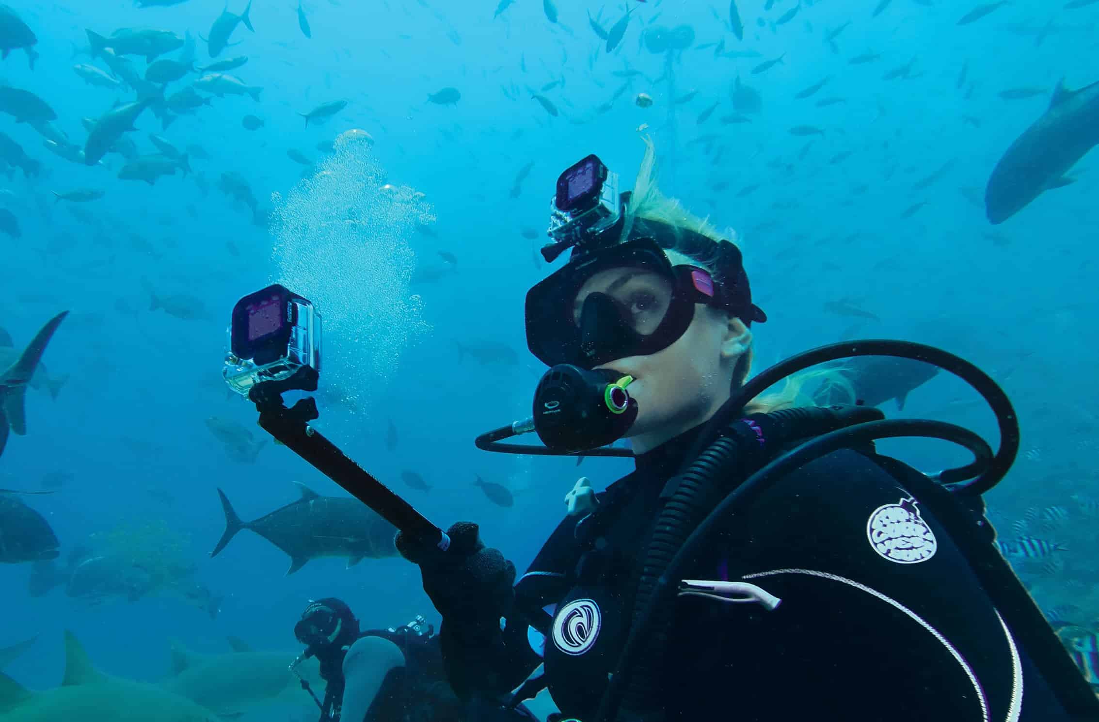 Significado de MEMS: todo lo que debe saber sobre los sistemas microelectromecánicos - Practical ...