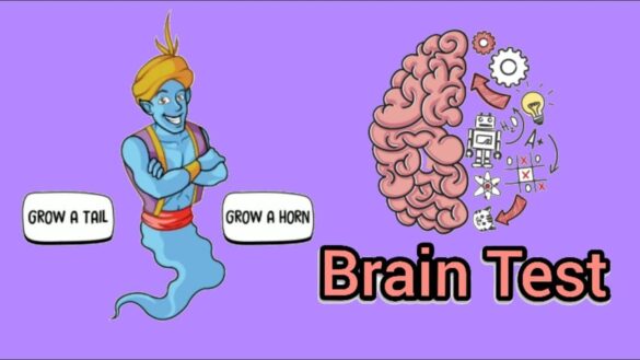 Brain Test Level 206: Decide! - Solution - Practical Tips