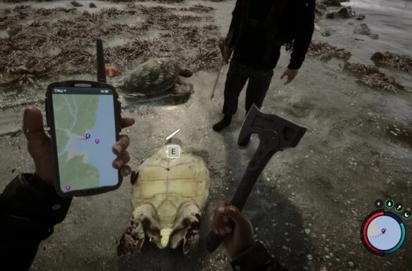 Sons of the Forest: Get and use turtle shells - Practical Tips