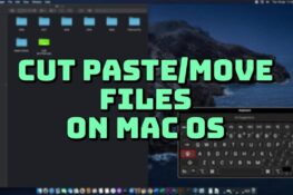 Backslash on the Mac: This is how it works - Practical Tips