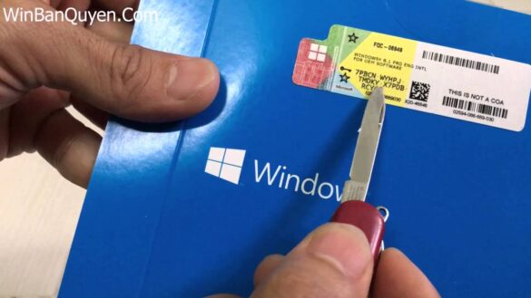Windows 8: Read product key from BIOS - Practical Tips