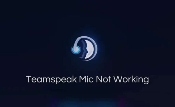 Teamspeak does not recognize microphone - what to do? - Practical Tips