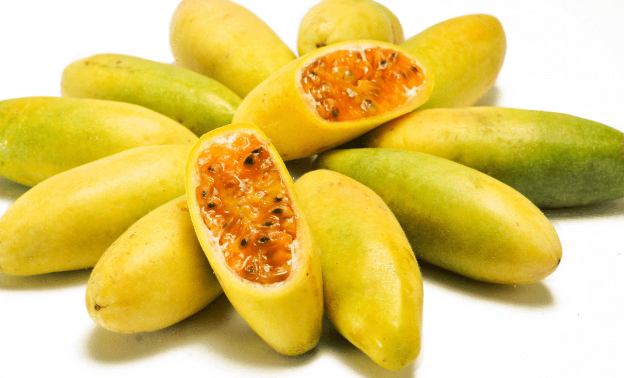 What is curuba? Interesting facts about the fruit - Practical Tips