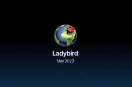 ¿Qué es WDYM? Abreviatura explicada de forma sencilla - Practical Tips