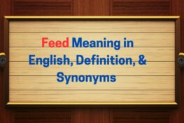 ¿Qué es WDYM? Abreviatura explicada de forma sencilla - Practical Tips