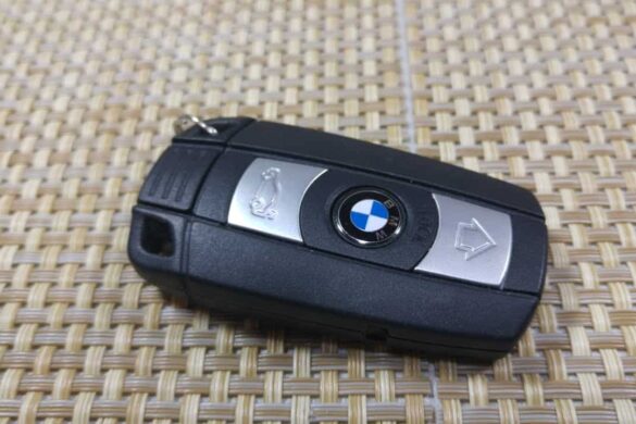 What do green license plates mean? Simply explained - Practical Tips