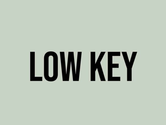 ¿Qué significa «lowkey»? Explicación sencilla - Practical Tips