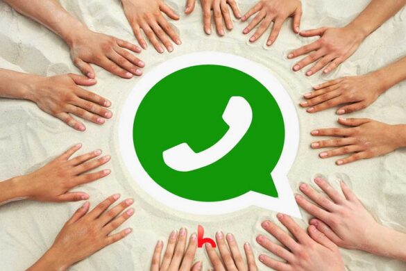 Create a Signal backup: How to export chats - Practical Tips