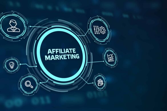 Feed: definição e significado explicados - Practical Tips