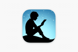 O que significa o modo offline? Explicação simples da função ...