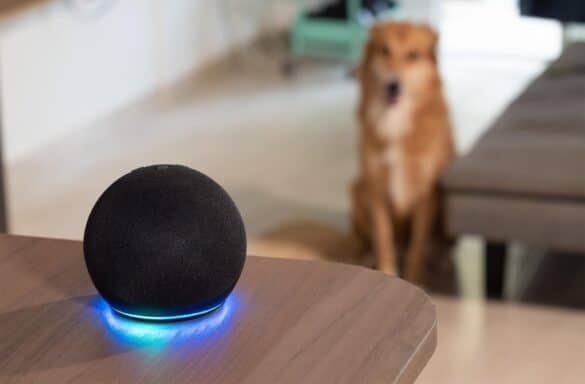 Restarting and resetting Alexa – here's how - Practical Tips