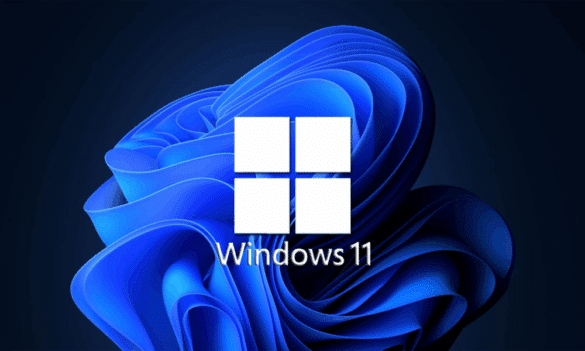 Windows 11: Reading the key – how it works - Practical Tips