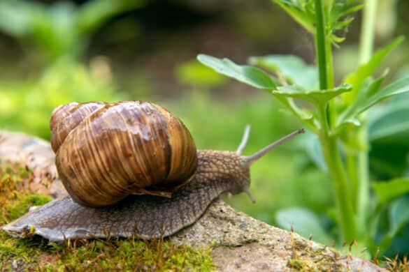 Aquastop: the function simply explained - Practical Tips