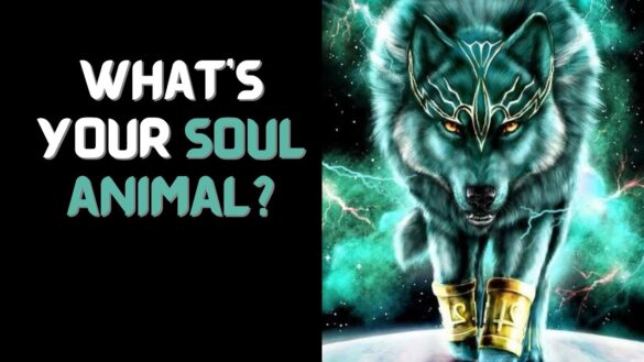 Trouver son animal totem - Comment reconnaître votre animal spirituel ...