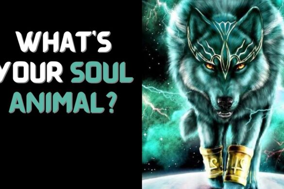 Country code 62: Which country is behind these calls? - Practical Tips