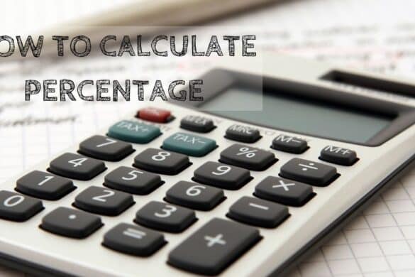 Feed: Definition and meaning explained - Practical Tips