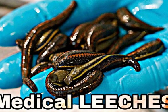 Femcel: What does it mean? All about the Femcel scene - Practical Tips