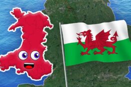 ¿Qué es WDYM? Abreviatura explicada de forma sencilla - Practical Tips