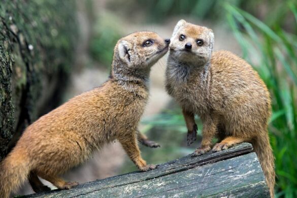 Passer d'Outlook à Thunderbird - comment faire ? - Practical Tips