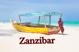 Sharks Archives - Practical Tips