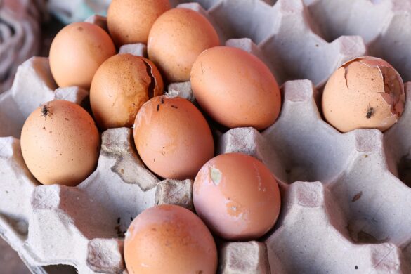 Recognize rotten eggs: How to do it with fresh and boiled eggs ...