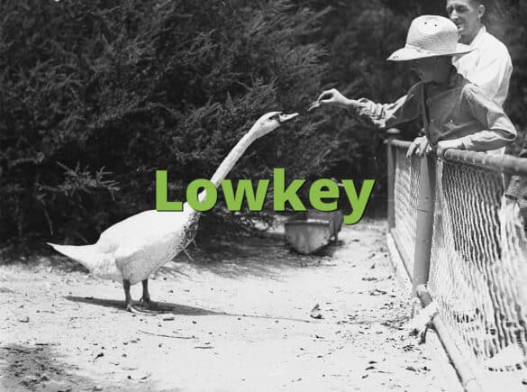 What Does “Lowkey” Mean? Explained Simply - Practical Tips